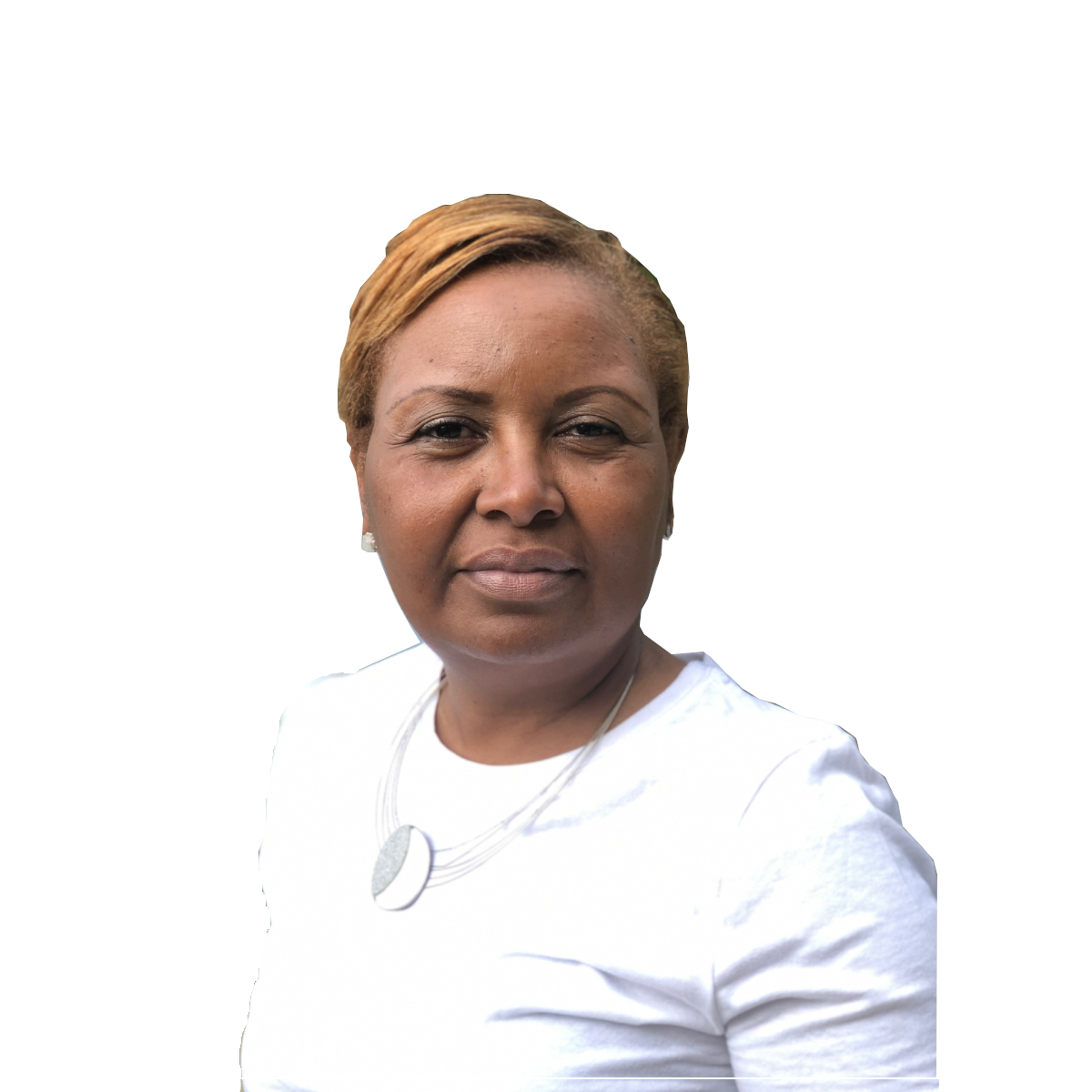 About - SV Branches Inc